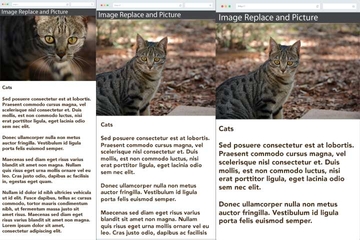 Blog - Category: Drupal | ActiveLAMP